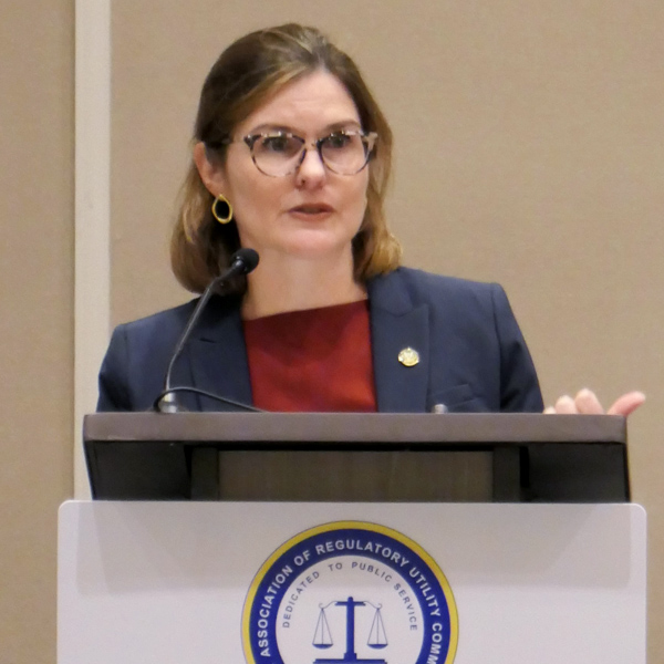 Biden Names Phillips Acting FERC Chairman - RTO Insider