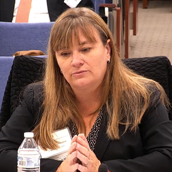 FERC Panelists Talk Cyber, Grid Transformation Challenges - RTO Insider